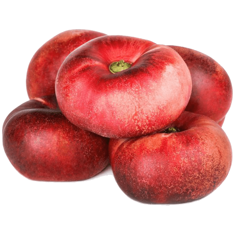 نهال شلیل انجیری | پالیز نهال